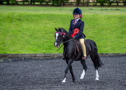 Events - Bethan Rose Bailey