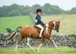 Events - Bethan Rose Bailey