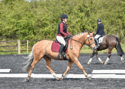 Events - Bethan Rose Bailey